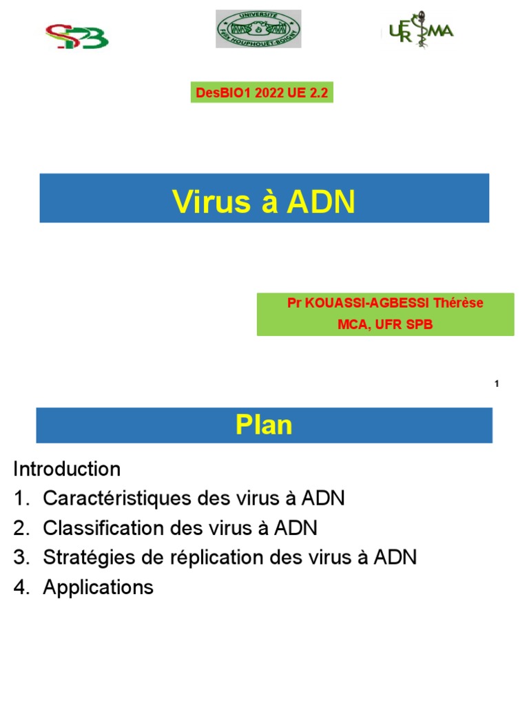 Virus À ADN | PDF