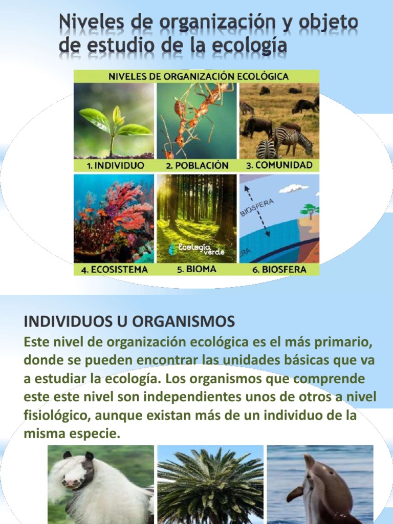 Niveles De Organización De La Ecología Qué Es La Ecología? Album