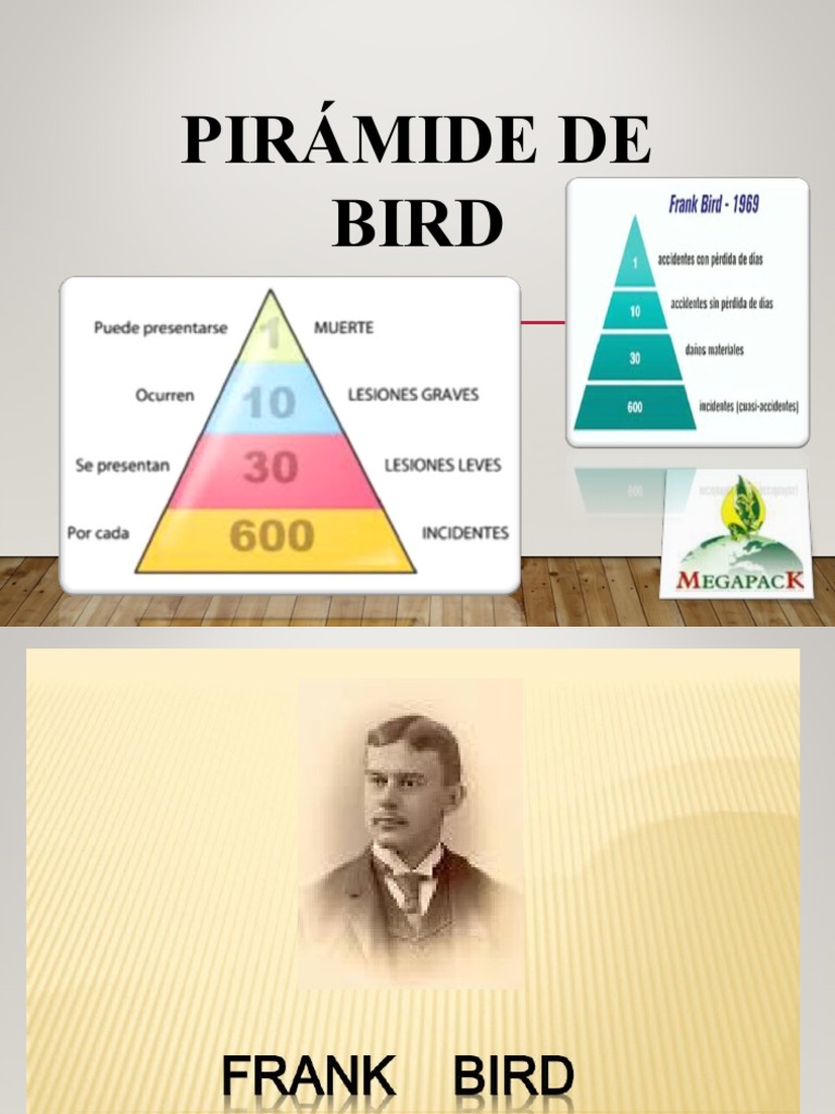 Pirámide de Bird: Prevención de Accidentes | PDF | Seguridad y salud ...