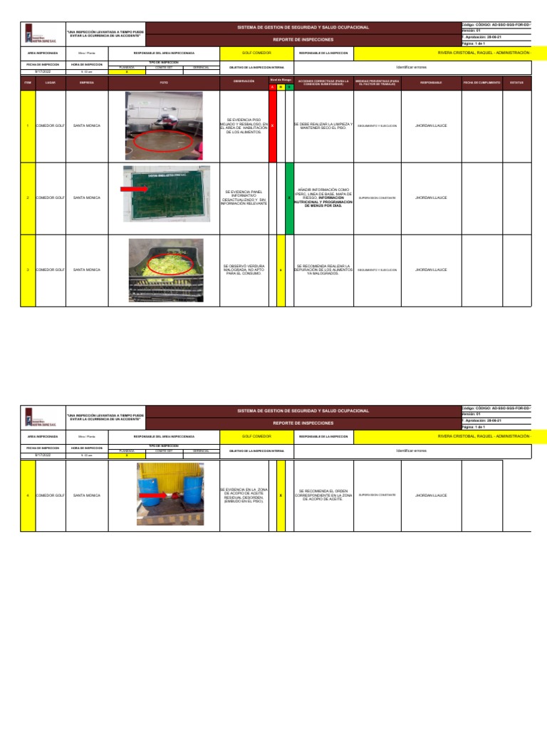 Inspección A Santa Mónica - Inms 17 de Septiembre | PDF | Ciencias de la Salud