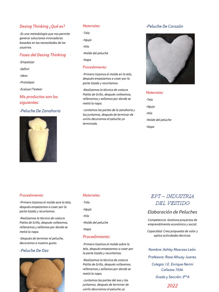 EPT Triptico | PDF | Business | Economias