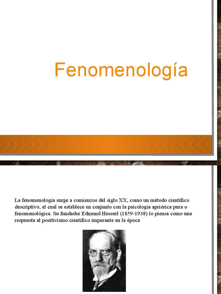 Fenomenologia y Hermeneutica | PDF | Edmund Husserl | Hermenéutica