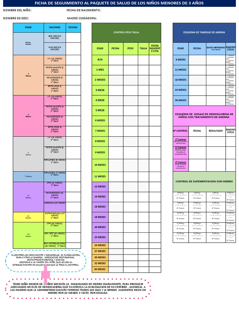 Formato Ficha de Seguimiento Al Paquete de Salud de Los Niños Menores ...