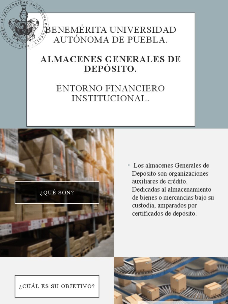 Almacenes Generales de Deposito | PDF | Almacén | Impuestos