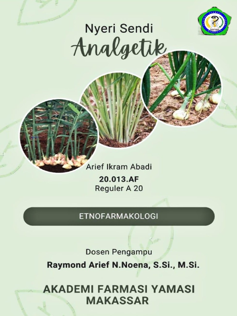 Etnofarmakologi Arief Ikram Abadi 20.013.af | PDF