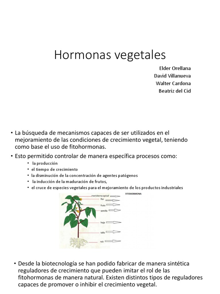 Hormonas Vegetales | PDF | Hormona Vegetal | Biología