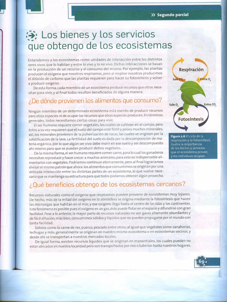 Los Bienes y Servicios Que Obtengo de Los Ecosistemas. | PDF