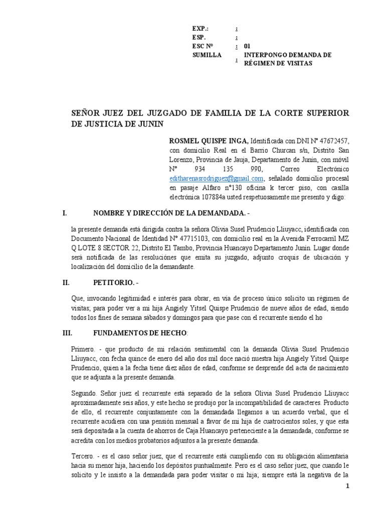Esc 01 Demanda Regimen de Visita | PDF