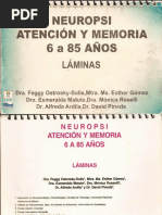 Neuropsi. Manual. Atención y Memoria (2da. Edición) | PDF