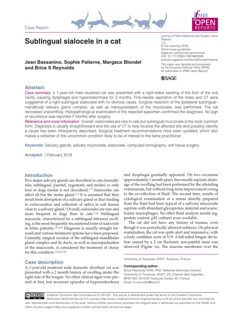 Sublingual Sialocele in A Cat: Jean Bassanino, Sophie Palierne, Margaux ...
