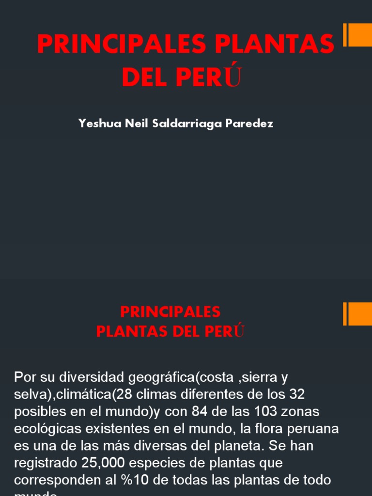 Plantas Emblemáticas del Perú | PDF | Perú | Andes