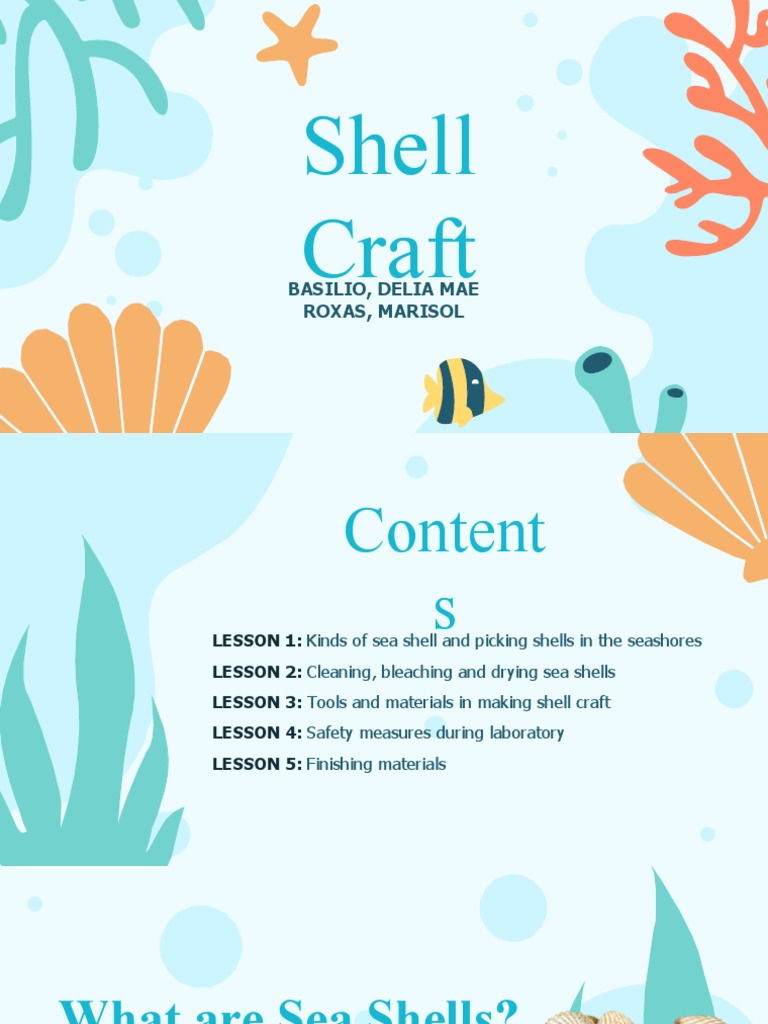 Shell Craft | PDF | Materials
