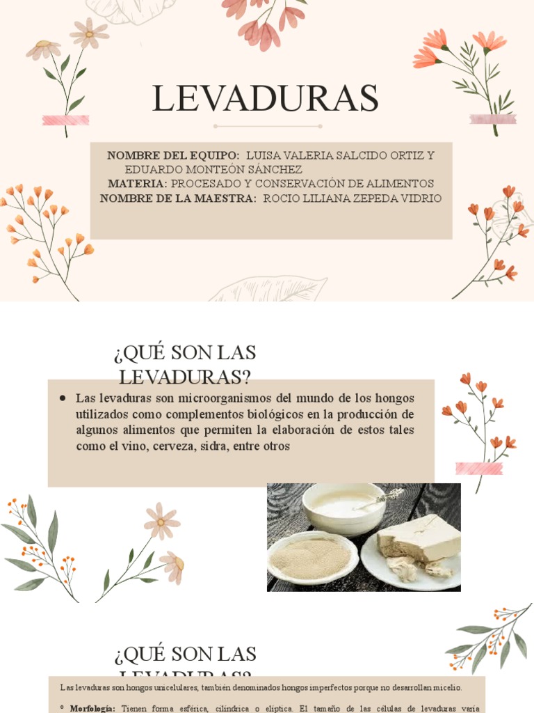 Levaduras Pdf Levadura Fermentación