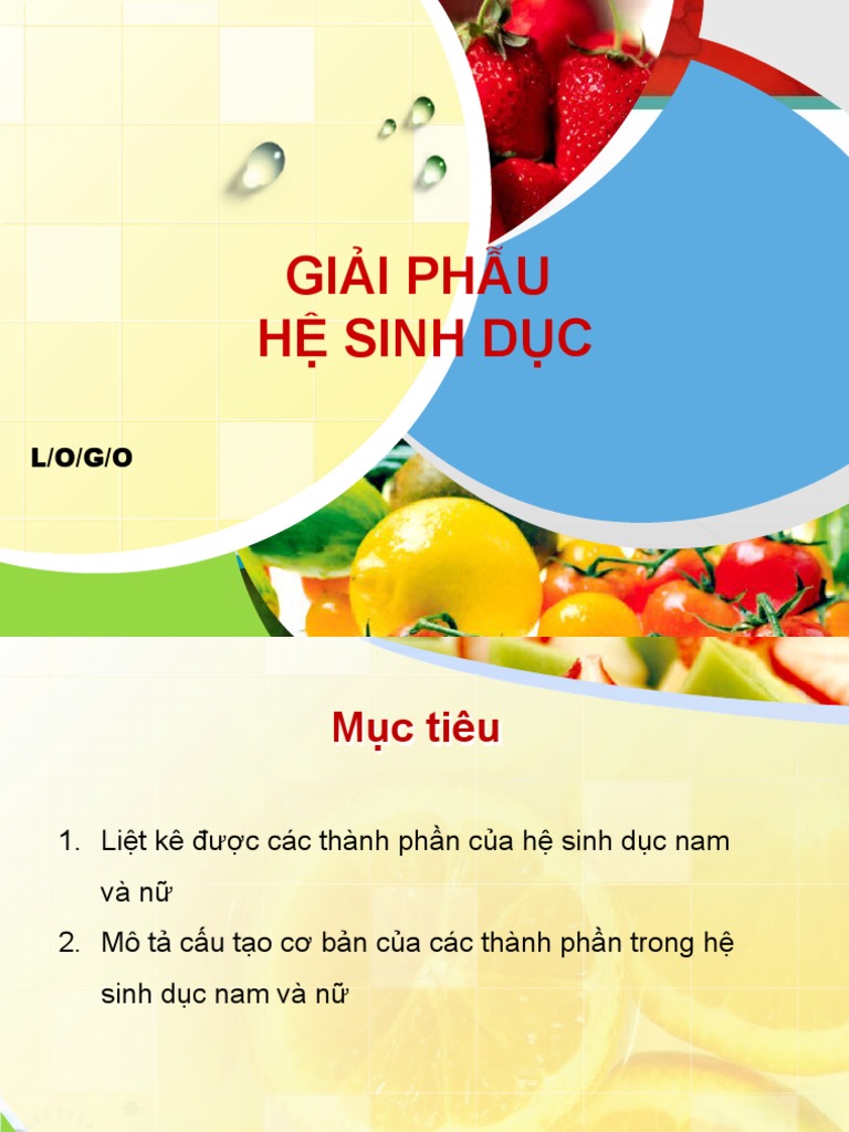 Giai Phau He Sinh Duc | PDF