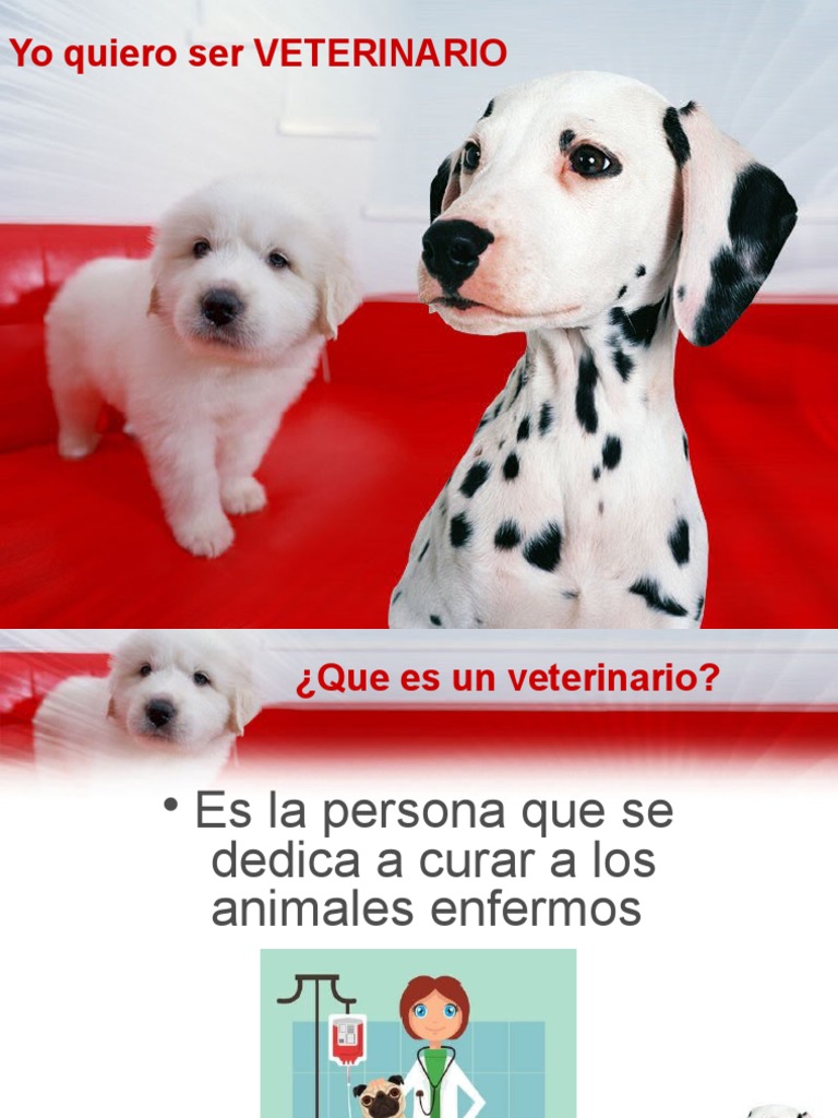 Yo Quiero Ser VETERINARIO | PDF