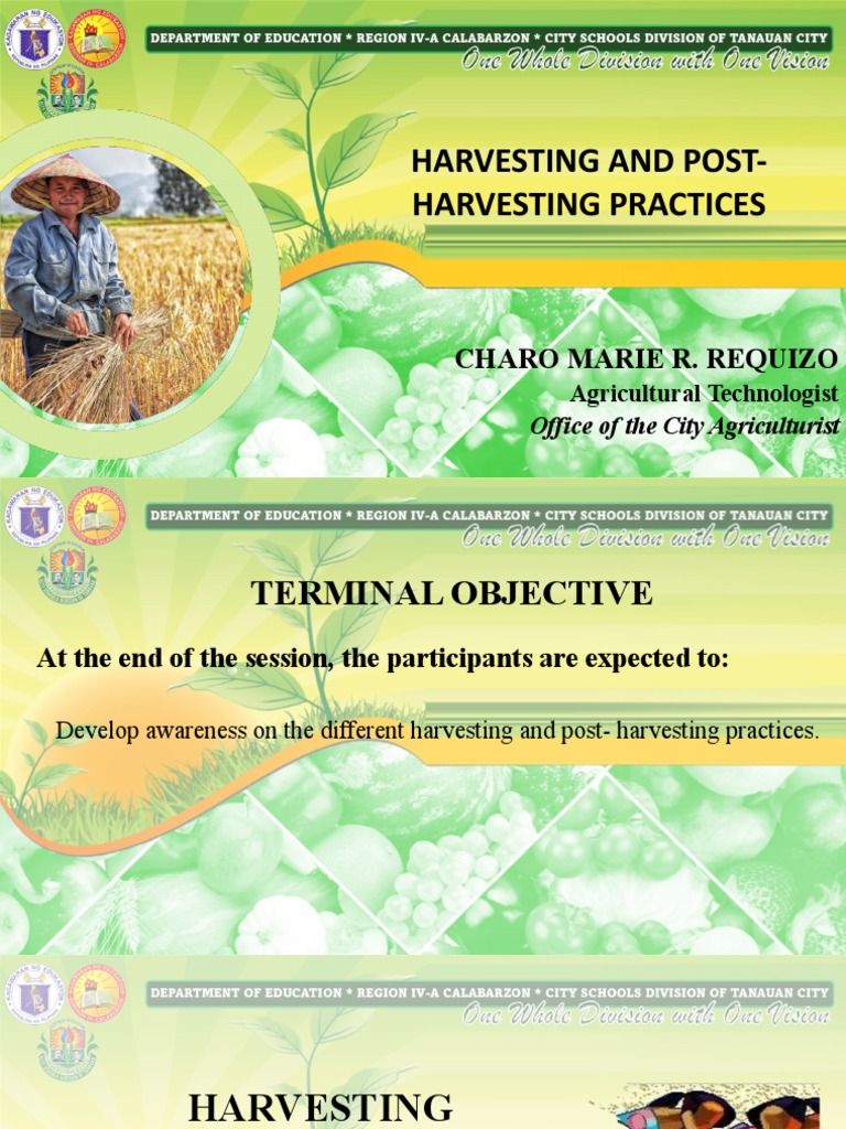 Harvesting and Post-Harvesting Practices | PDF | Vegetables | Fruit