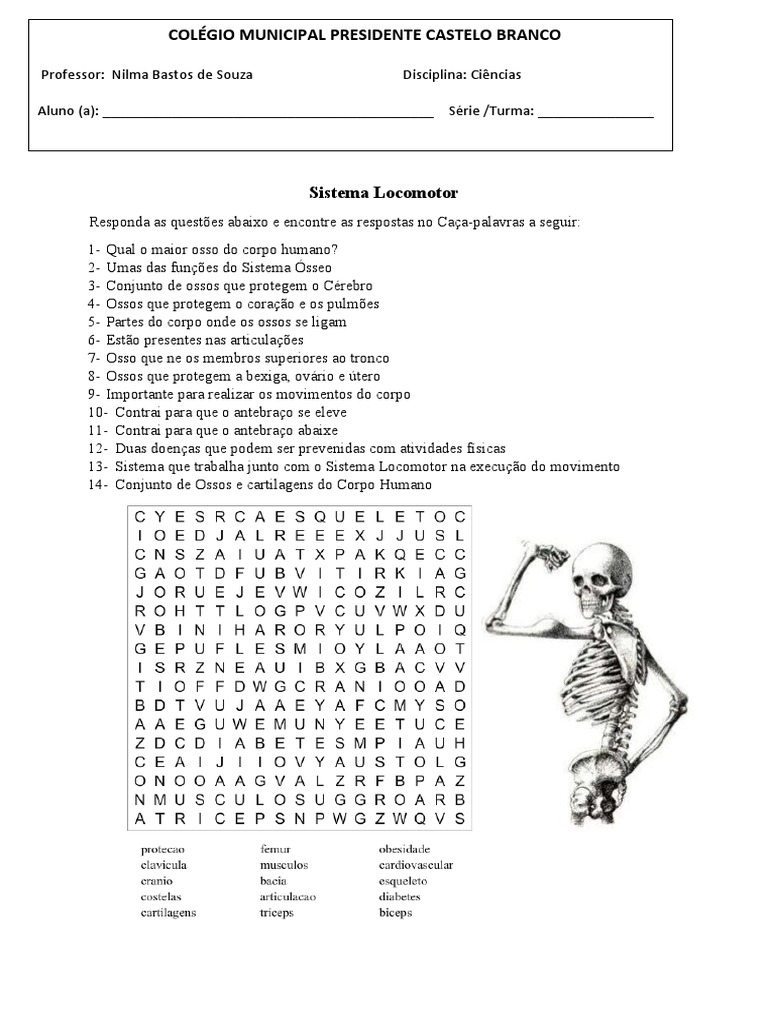 Atividades Sobre O Sistema Locomotor Pdf