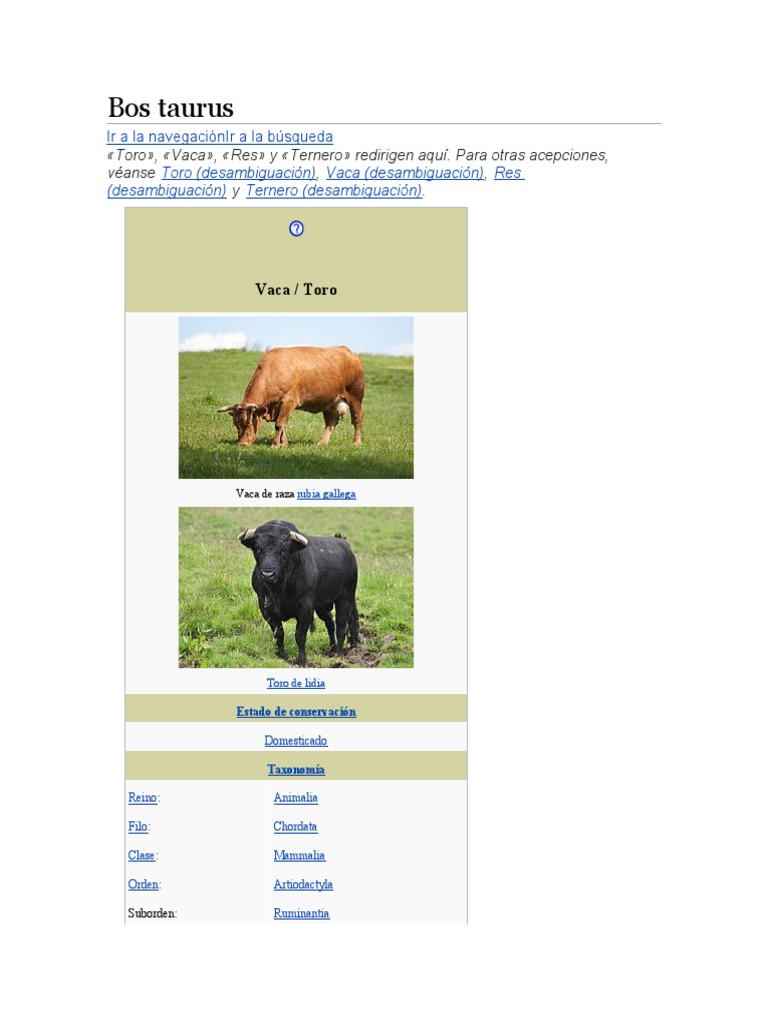 Bos Taurus | PDF | Vacas | Rumiante