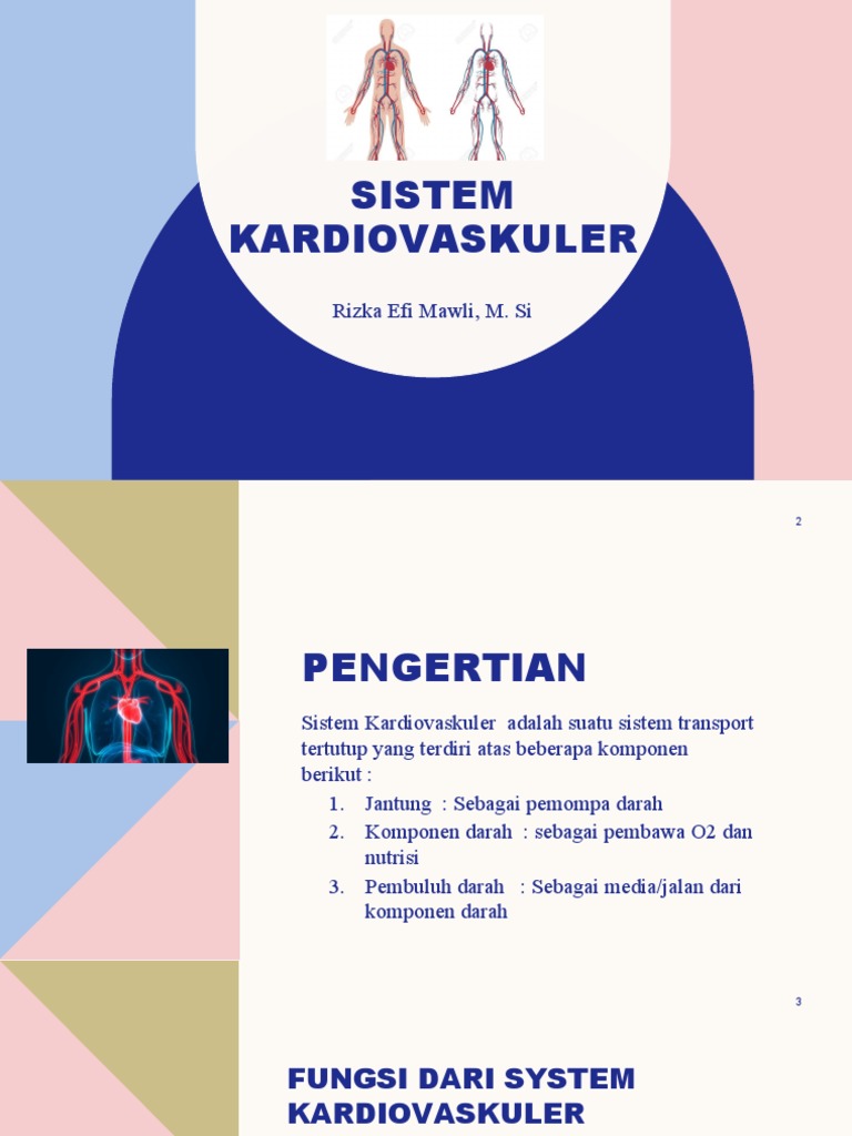 Sistem Kardiovaskuler | PDF