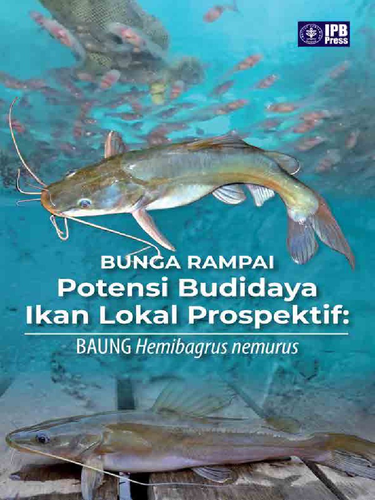 Buku Potensi Budidaya Ikan Baung | PDF