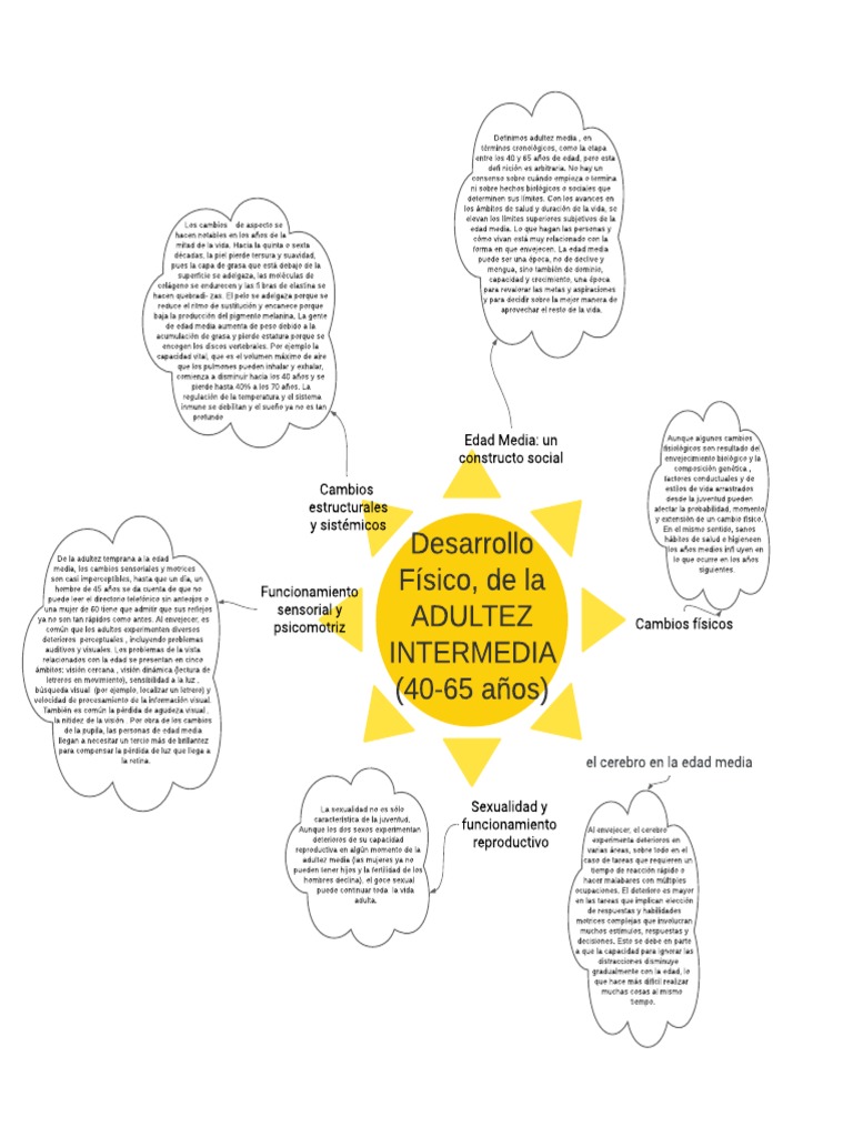 Mapa Cognitivo Tipo Sol | PDF