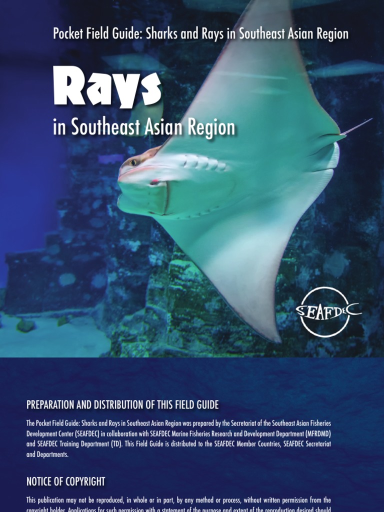 2021 - Seafdec - Pocket Field Guide - Shark and Rays in Southeast Asian ...