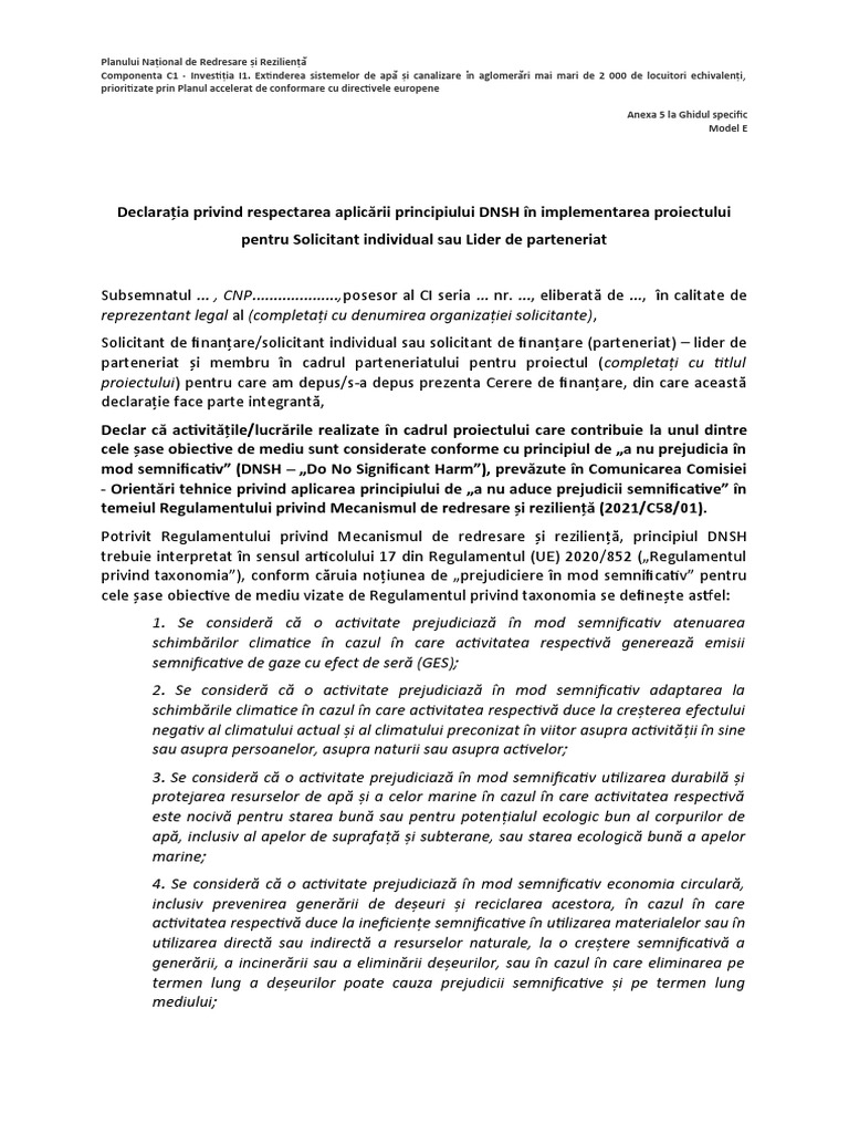 A5 - Model E Declaratie DNSH | PDF