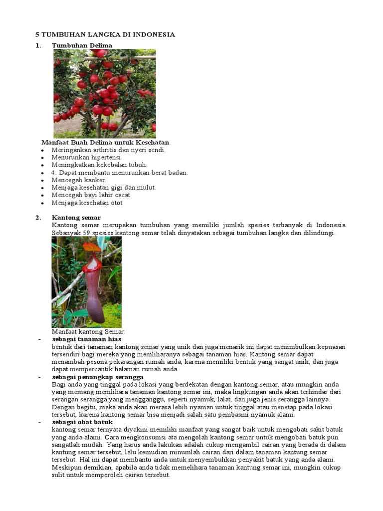 5 Tumbuhan Dan Hewan Langka Di Indonesia | PDF