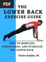 Williams Flexion Exercises Guide | PDF | Low Back Pain | Back Pain