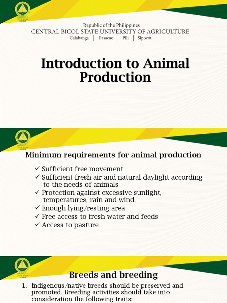 Introduction To Animal Production | PDF | Sheep | Selective Breeding