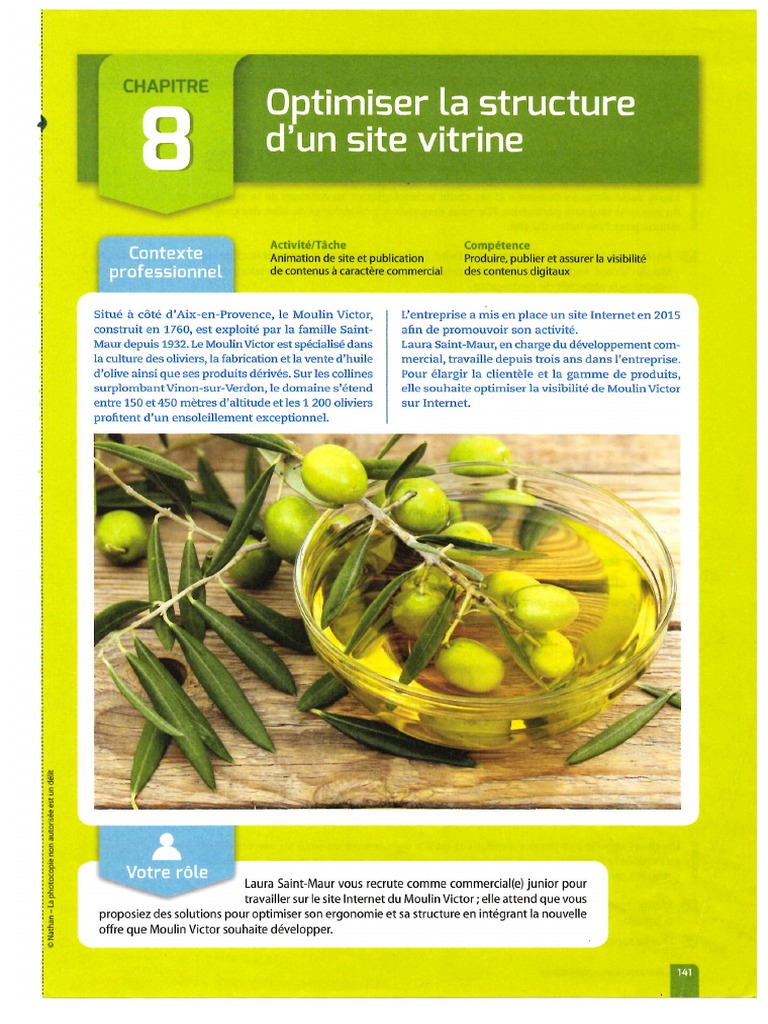 Dossier 2 Optimiser La Vitrine D'un Site | PDF