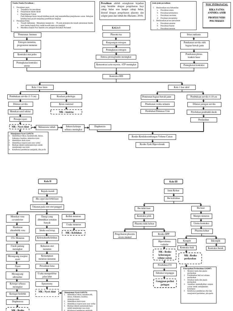 Woc Intranatal - Rika Fatma | PDF