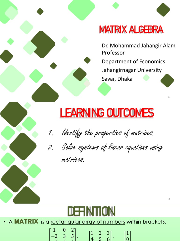 Matrix Algebra | PDF | Matrix (Mathematics) | Functions And Mappings