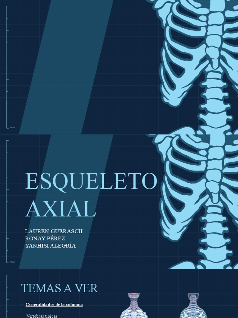 Esqueleto Axial | PDF | Vértebra | Esqueleto