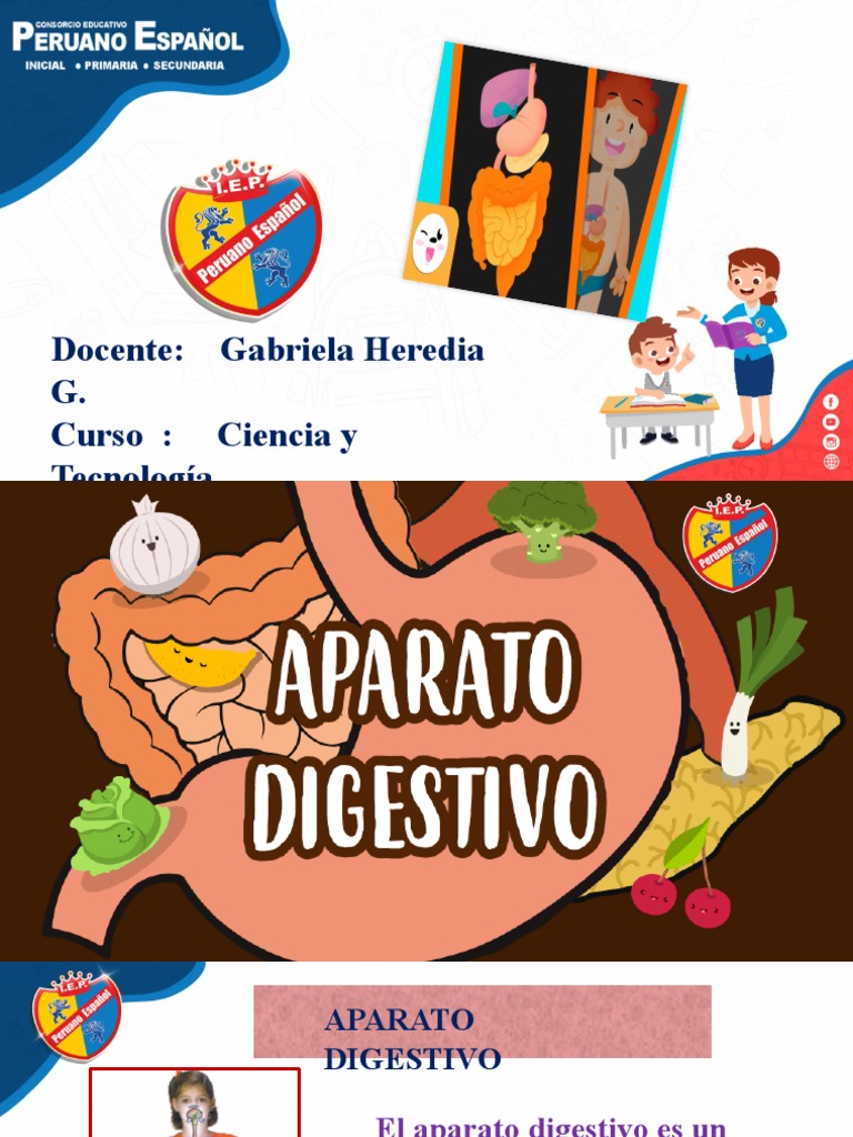 Sistema Digestivo Diapositivas | PDF