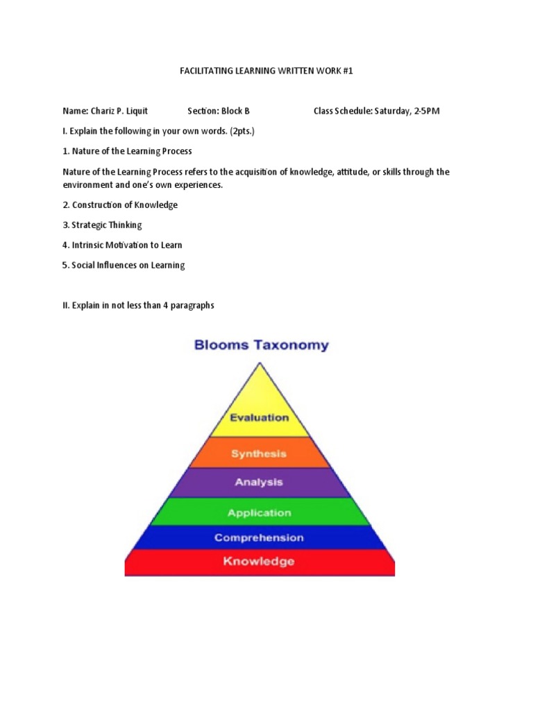 Facilitating Learning Written Work | PDF