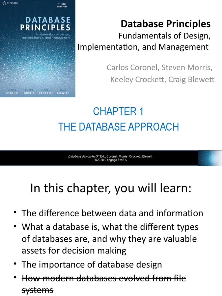 BB MIST 320 Chapter 1 | PDF | Databases | Computing