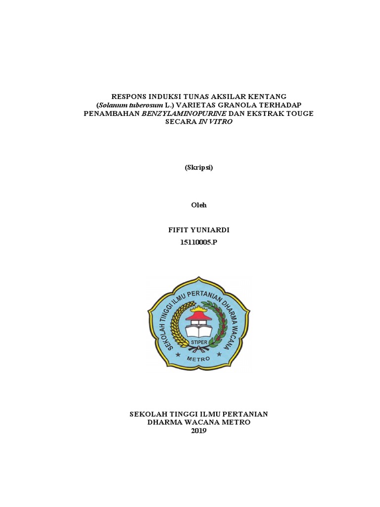 Induksi Tunas Aksilar Kentang In Vitro | PDF