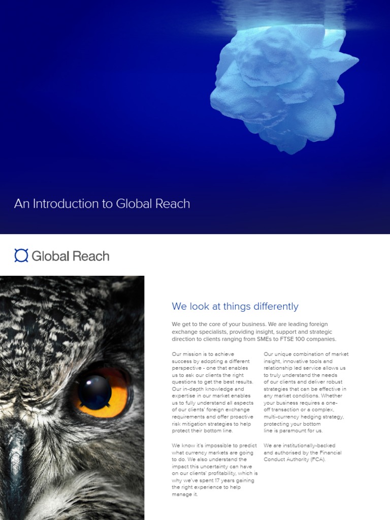 An Introduction To Global Reach | PDF | Hedge (Finance) | Foreign ...