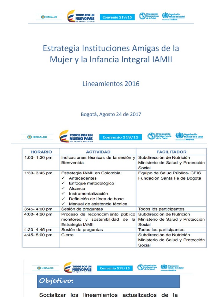 Diapositivas Iami | PDF