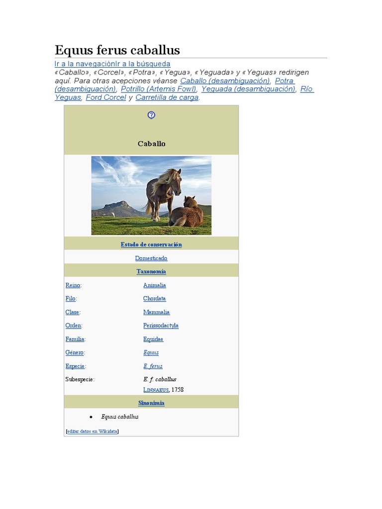 Trabar Con Caballos | PDF | Caballos | Équidos