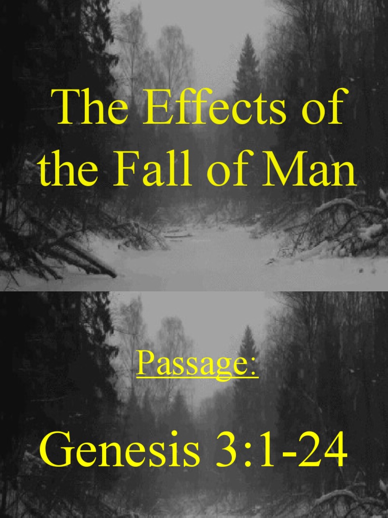 Effects of the Fall of Man | PDF | Serpents In The Bible | Adam