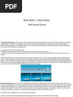 Stall Warning System | PDF | Airspeed | Aviation