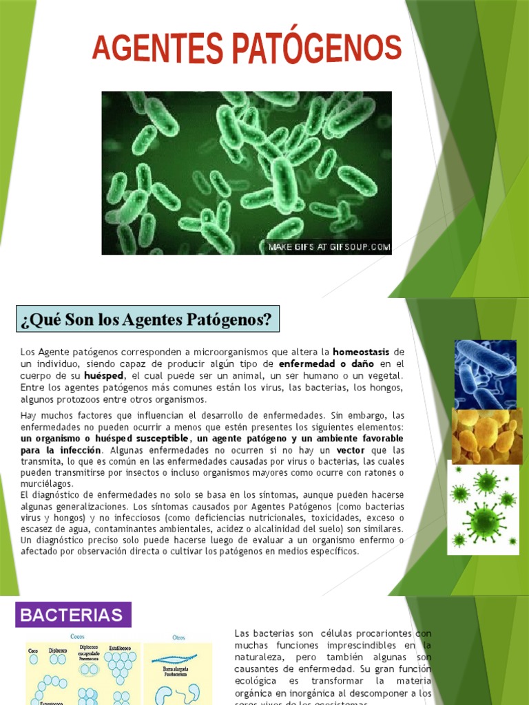 Agentes Patógenos | PDF