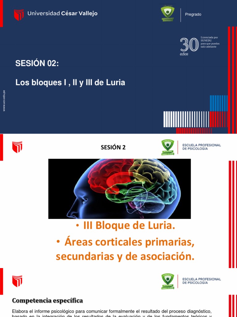 Sesión 2 - Los Bloques de Luria 2° 2022 | PDF