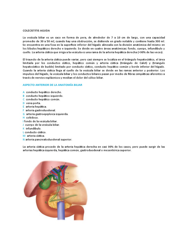 Colecistitis Aguda | PDF | Bilis | Vesícula biliar Colecistitis Aguda | PDF | Bilis | Vesícula biliar