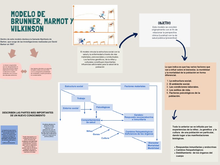 Modelo de Brunner | PDF | Comportamiento | Sicología