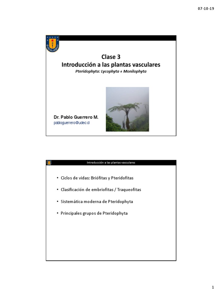 Clase 3-Compressed | PDF