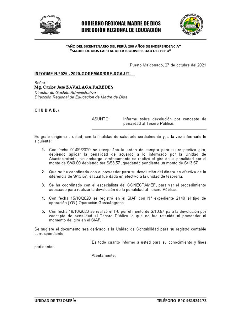 Informe 2020 Otro | PDF | Contabilidad | Perú