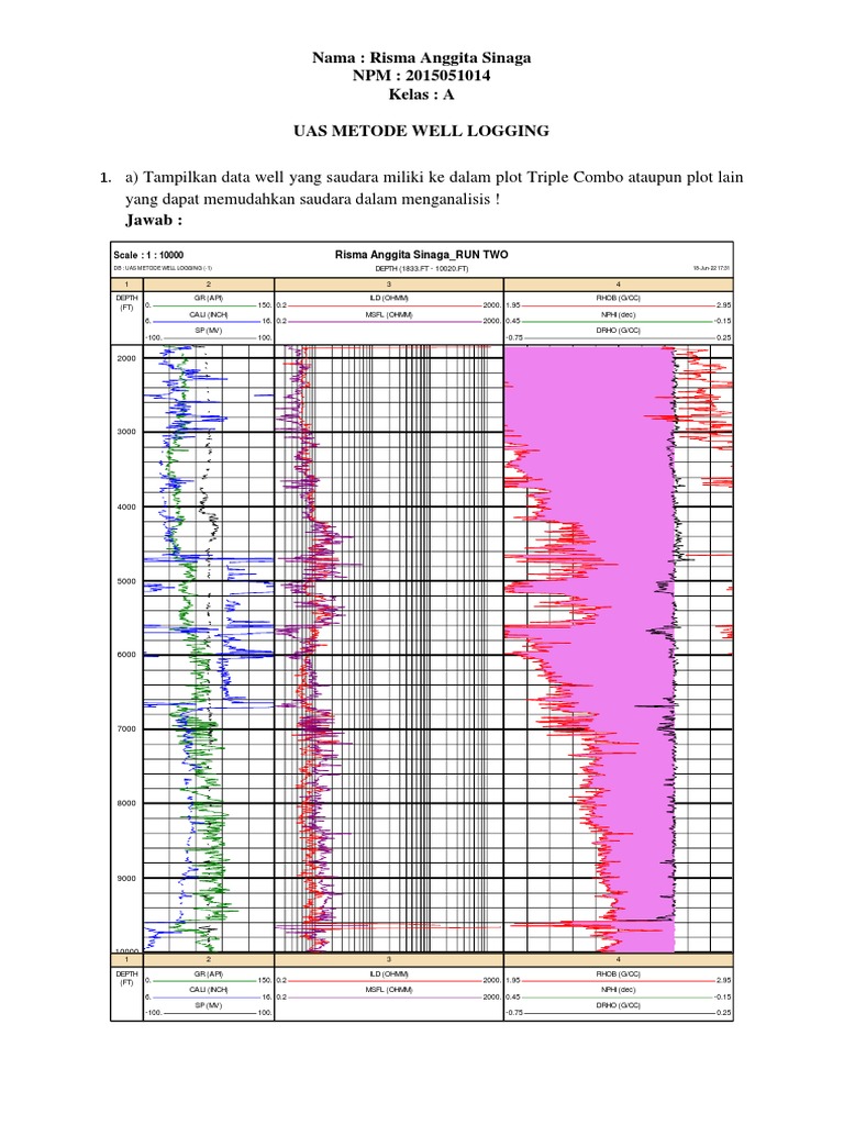 Risma Anggita Sinaga - UAS Metode Well Logging | PDF